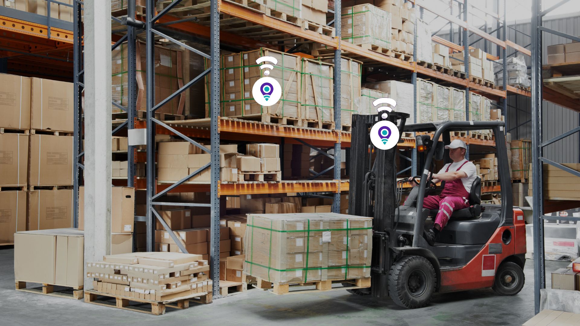 Warehouse Management System & Warehouse Inventory Tracking